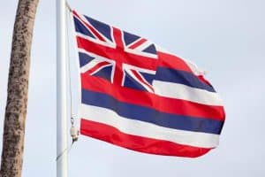 14 Hawaii State Symbols (Facts & History) - Hawaii Bird Guide