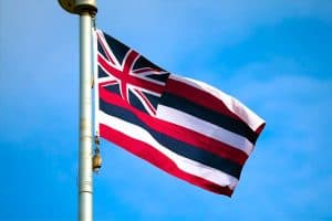 14 Hawaii State Symbols (Facts & History) - Hawaii Bird Guide